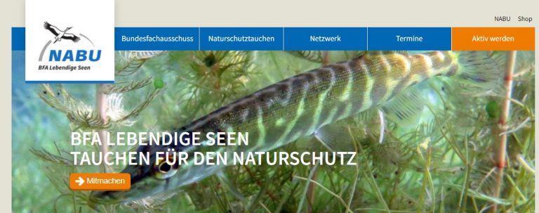 NABU Naturschutztauchen | Tauchen für den Naturschutz in Hessen